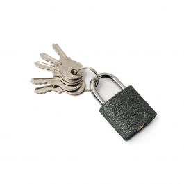 Godrej, Stellar Grey Iron Padlock, 25mm